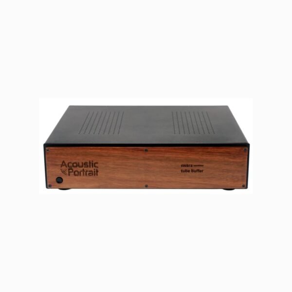 Acoustic Portrait Swara V2-Tube Buffer – dusonav.com
